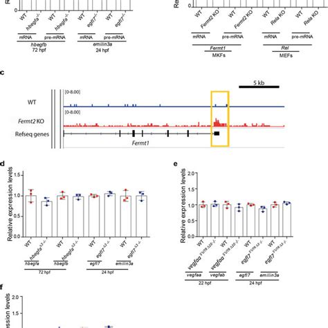 Transcriptional Adaptation Involves Enhanced Transcription And Is Download Scientific Diagram