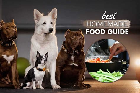 Top 20 Healthy Homemade Dog Food Recipes Your Dog Will Love The Dog