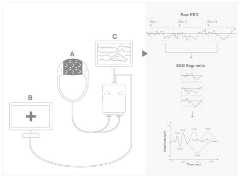 Using Stimulus Presentation Packages With Your Eego™ System Ant Neuro