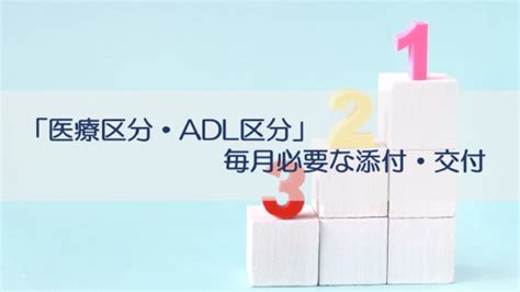 区分の概要 アーカイブ クワホピ