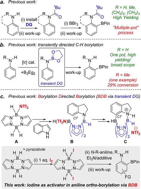 A Pivaloyl Directed Electrophilic Borylation B A Transient