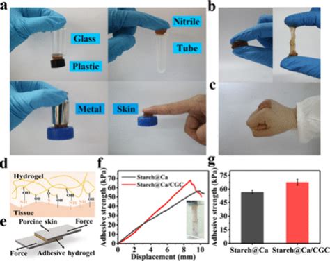 Polysaccharide Based Hydrogels For Advanced Biomedical Engineering Applications Acs Polymers Au