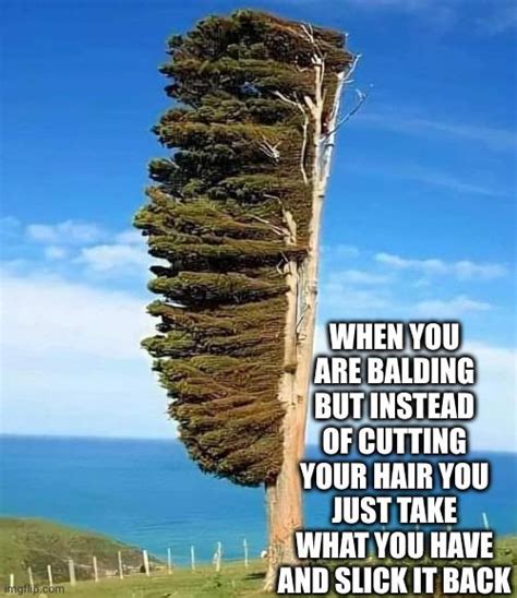 Balding Slickback Rmeme