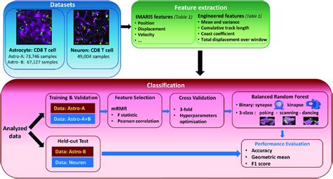Framework Of Data Analysis And Model Construction The First Classifier
