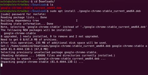 Google Chrome Installation On Ubuntu Nucleio Information Services