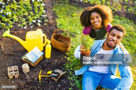 Latin Brazilian Brother And Sister Working In Garden Outdoor Planting