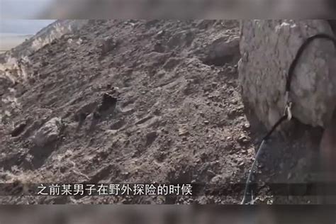 海豹被绳子缠绕多年，好心人帮它解开后，下一幕让人泪目！好心人海豹绳子