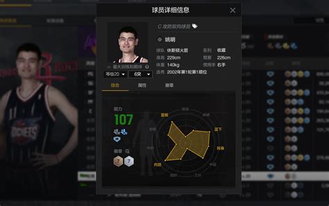 满突姚明28亿詹姆斯（双时刻）奥拉朱旺麦迪10突贾巴尔伯德字母6魔术师迪奥 Nba2kol2 全区全服 全区全服 Gg租号