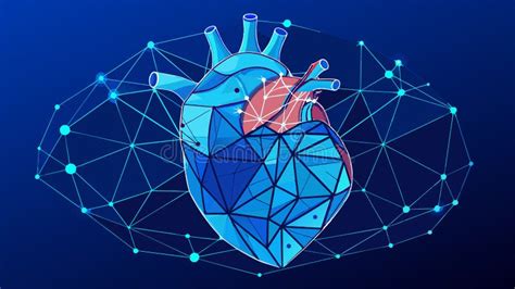 Human Heart Anatomy Form Lines And Triangles Point Connecting Network On Blue Background