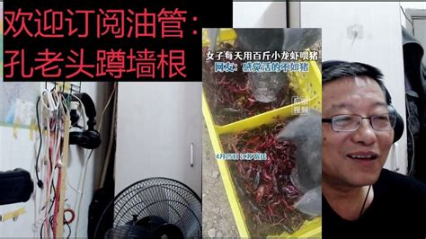 女子每天用上百斤小龙虾喂猪：自己养殖的虾，日产千斤 Youtube