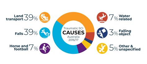 Spinal Cord Injury Facts Spinalcure Australia
