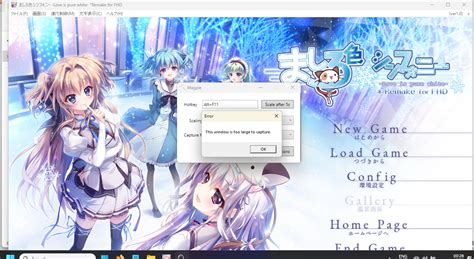 Desktop Duplication Window Is Too Large To Capture · Issue 746