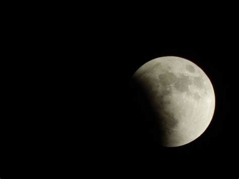 Eclipse Lunar Luna Llena De Flores Y Lluvia De Meteoros Llega Un