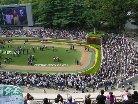 『人生1度の？・・・ 東京競馬場馬主席！』国立・府中・稲城東京の旅行記・ブログ By 楽天やまちゃんさん【フォートラベル】