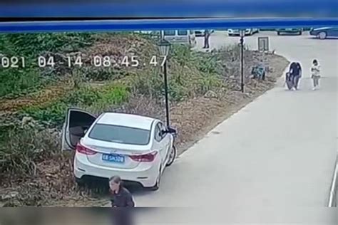 监控无意间拍到的一幕，女司机这波操作能给几分？操作监控