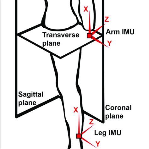 Illustration Of Body Coordinates And Placement Of The Imu Sensors