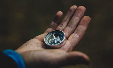 Navigating The Rust Learning Curve A Journey Through Dojos And
