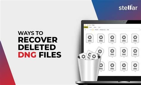 How To Recover Deleted DNG Files Stellar