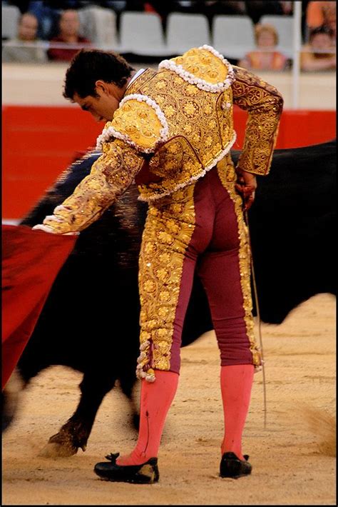 Torero De Granada Traje De Torero Torera Toros Y Toreros