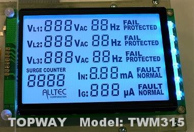 Digit Custom Segment LCD Panel China Display And LCD Display Price