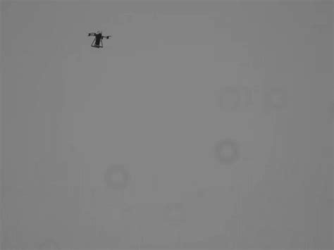 Drone Detection Object Detection Dataset By Dronedetection