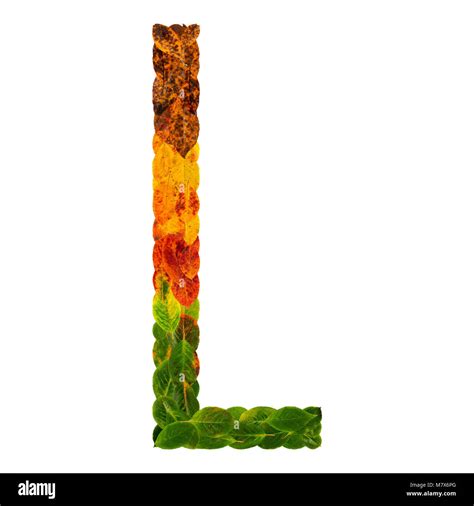 Letter L In Nature