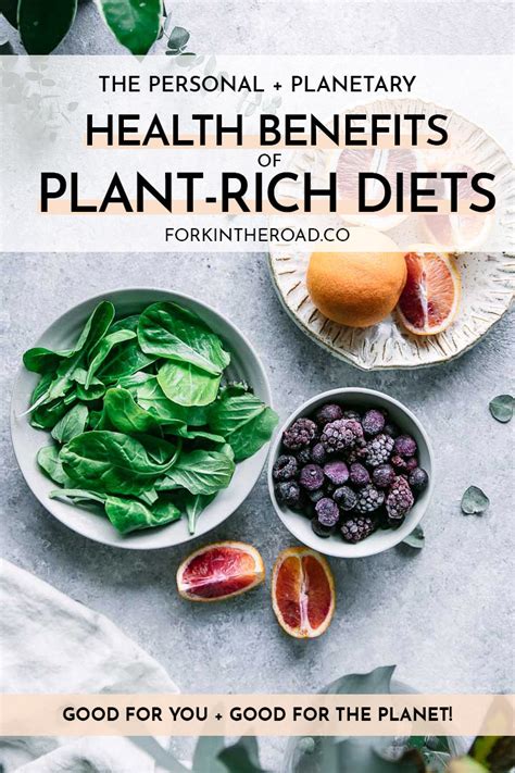 Plant Rich Diets Good For You Good For The Planet ⋆ Fork In The Road