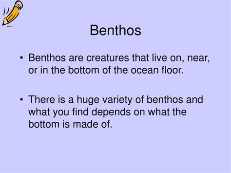 Ppt Benthos Powerpoint Presentation Free Download Id5528996