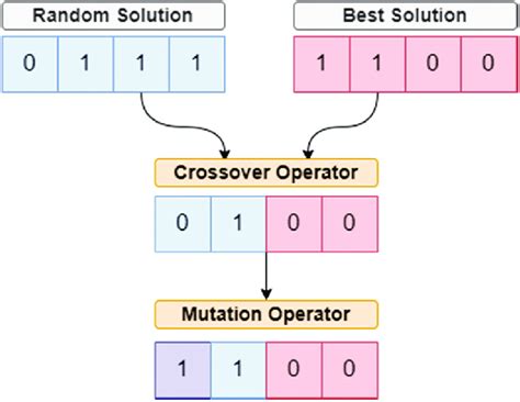 the process of implementing the crossover and mutation on the solution
