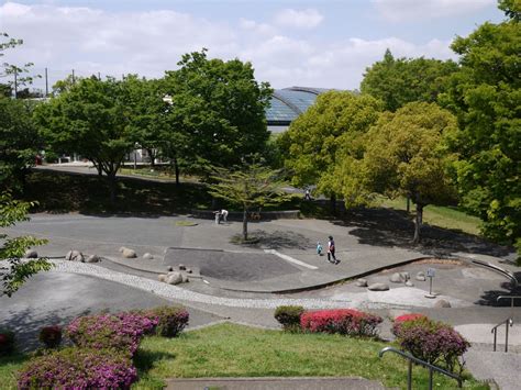 夏休みは清水ヶ丘公園で思いっきり遊ぼう話題のタグラグビー体験に自由研究お助けイベント室内プールもあってもりだくさん 横浜湘南で子供