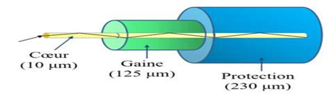 1 La Structure Dune Fibre Optique Download Scientific Diagram