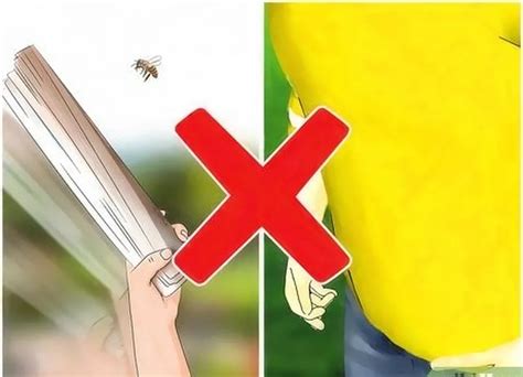 Comment se soigner en cas de piqûre d abeille ou de guêpe 9 étapes