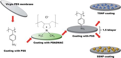 Schematic Illustration Of Membrane Modification Steps By Using