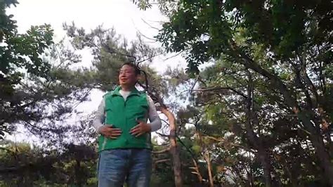 성령의 불 Youtube