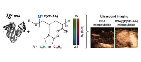 New Contrast Agent For Ultrasound Imaging Tested To Make Medical Diagnostics More Affordable And