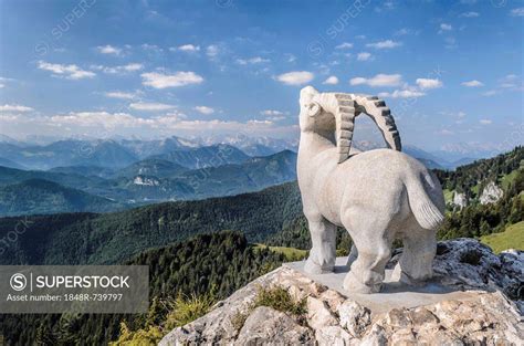 Statue Of An Ibex In Front Of The Mountain Ranges Of The Karwendel