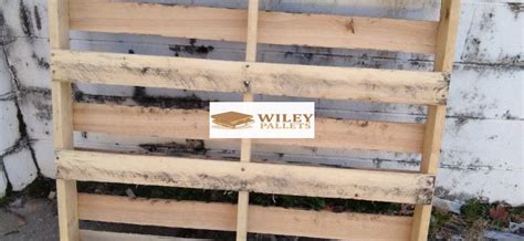 Used 2 Way Entry Stringer 2 Pallets Concord Ca Wiley Pallet