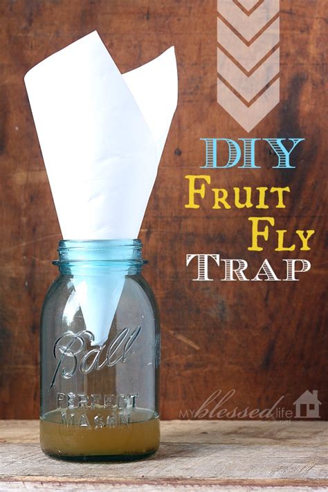 Get Rid Of Fruit Flies Diy Fruit Fly Trap My Blessed Life™