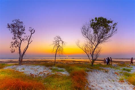 Ahmed Niyaz On Linkedin Adducity