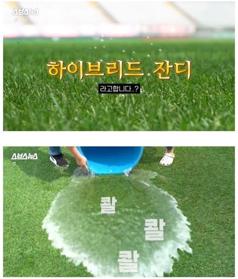 청년의꿈 월드컵경기장 10억짜리 잔디 잼버리 콘서트 무대설치 작업으로 심각한 훼손 우려
