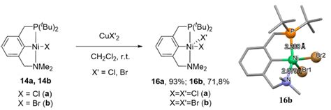 Scheme 5 Synthesis Of Unsymmetrical Pcn Pincer Nickel Iii Complexes Download Scientific