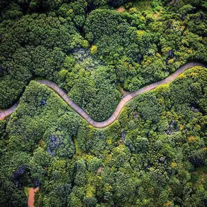 Habitat Fragmentation Degradation Of Large Habitats Environmental Earth