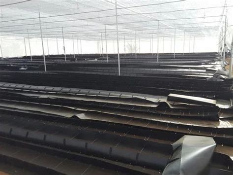 Plastic Hdpe Trough System High Density At ₹ 180 Piece In Navi Mumbai Id 2855872873262