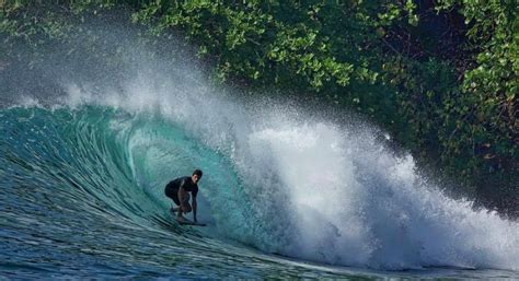 Cobertura Especial ISA ISA Três federações reconhecidas Waves