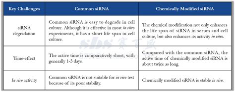 Chemically Modified Sirna