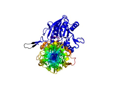 File ColorByDisplacement CA 2 Png PyMOLWiki