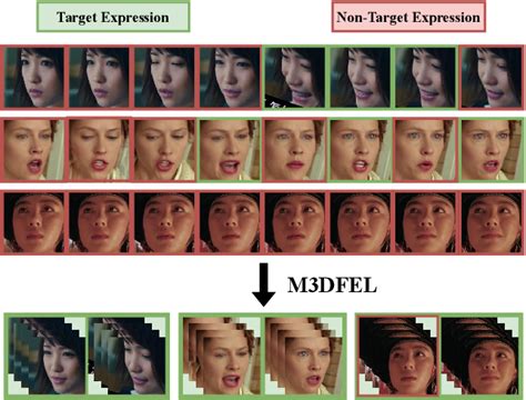 Figure 2 From Rethinking The Learning Paradigm For Dynamic Facial