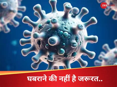 भारत में आने वाले दिनों में Hmpv कितना होगा खतरनाक एक्सपर्ट से जानिए वायरस के बारे में सबकुछ