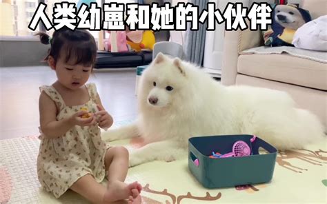 Bilibili