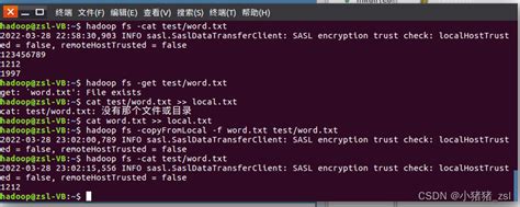 实验二：熟悉常用的hdfs操作 Csdn博客